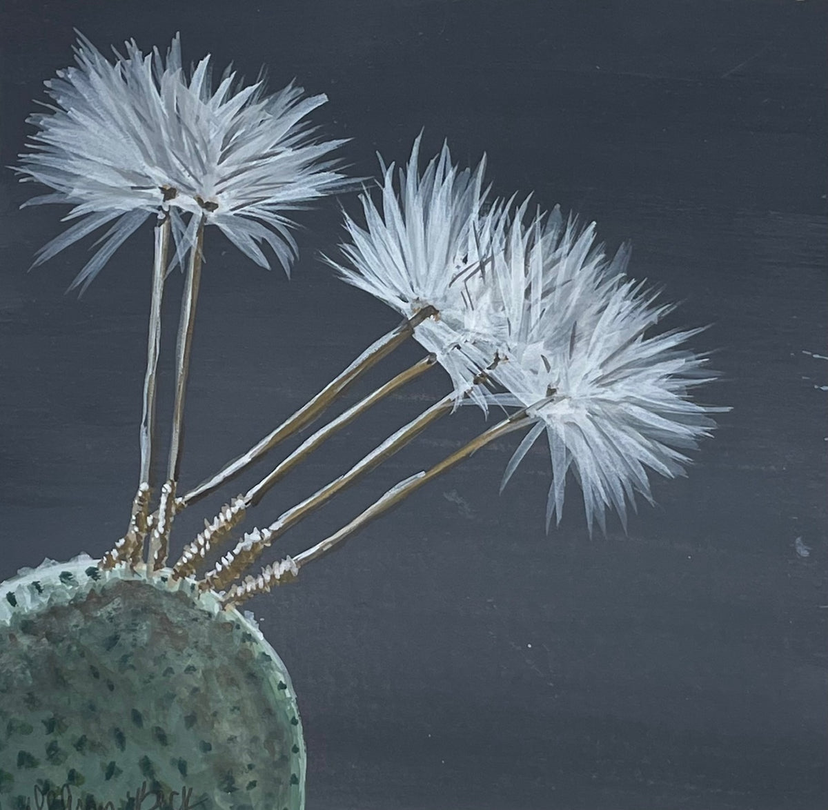 Watercolor Paintings by DeAnn Beck – Catawba Cultural Preservation Project