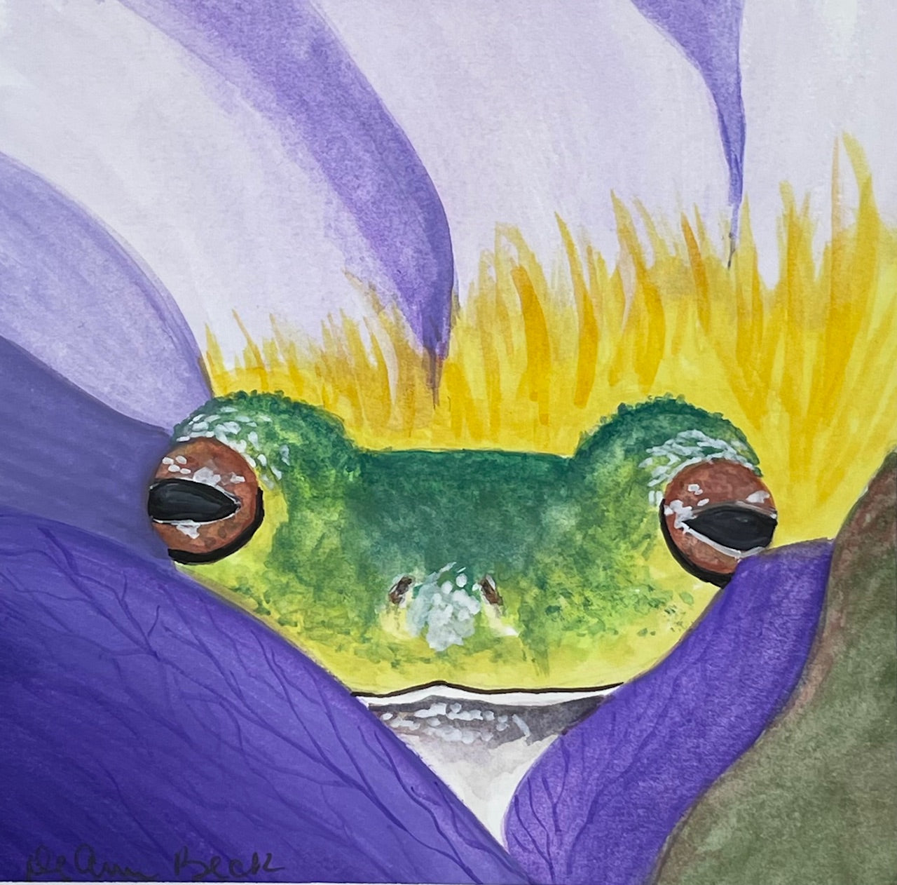 Watercolor Paintings by DeAnn Beck – Catawba Cultural Preservation Project