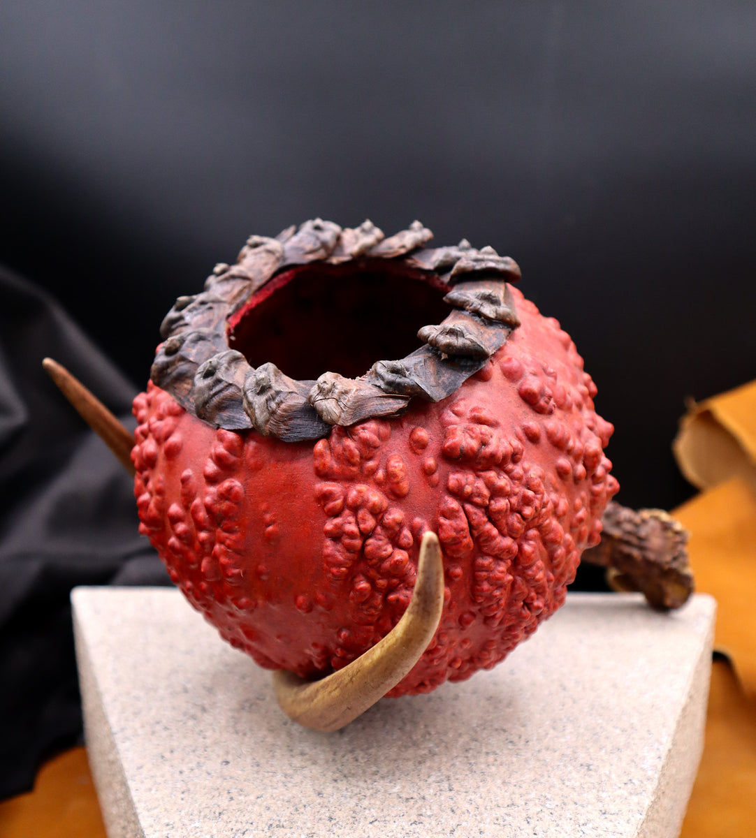 Bumpy Gourd Display Piece by Alan Dabney – Catawba Cultural ...