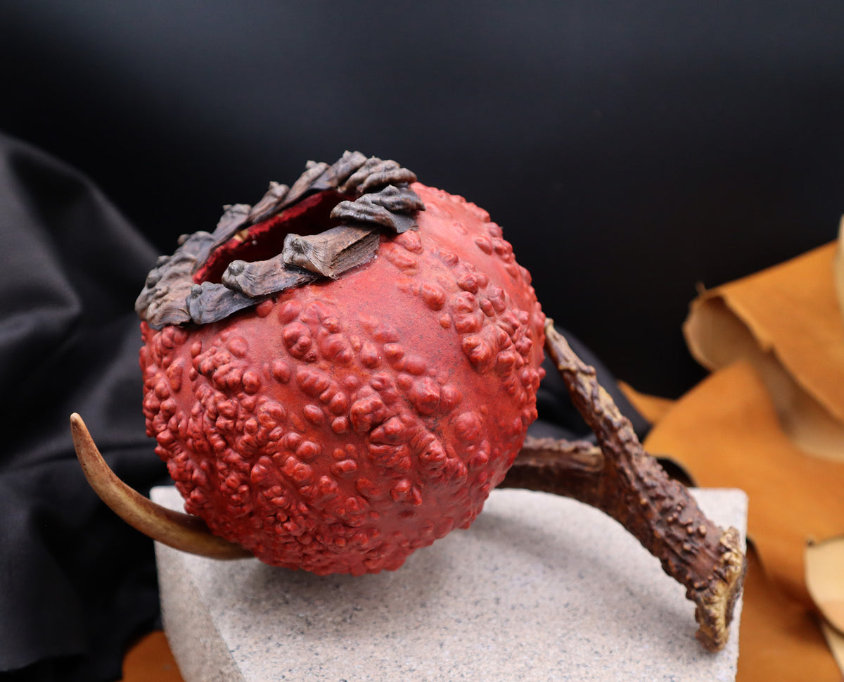 Bumpy Gourd Display Piece by Alan Dabney – Catawba Cultural ...