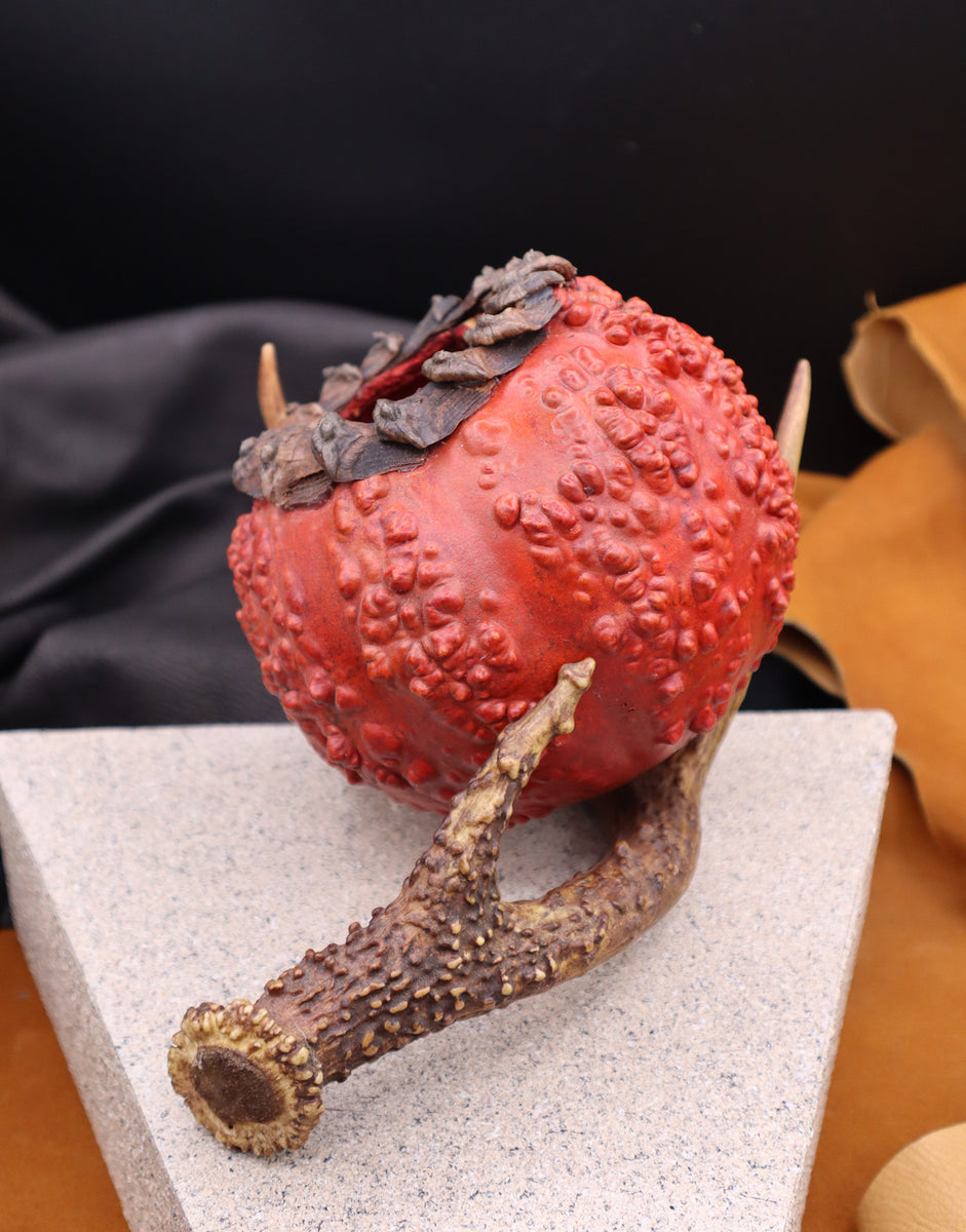 Bumpy Gourd Display Piece by Alan Dabney – Catawba Cultural ...