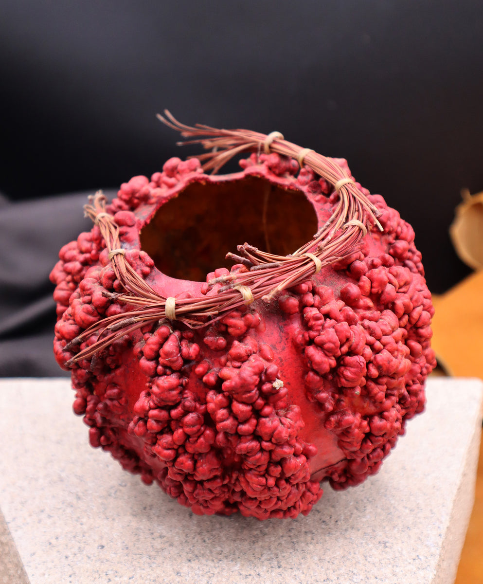 Bumpy Gourd Bowl by Alan Dabney – Catawba Cultural Preservation Project