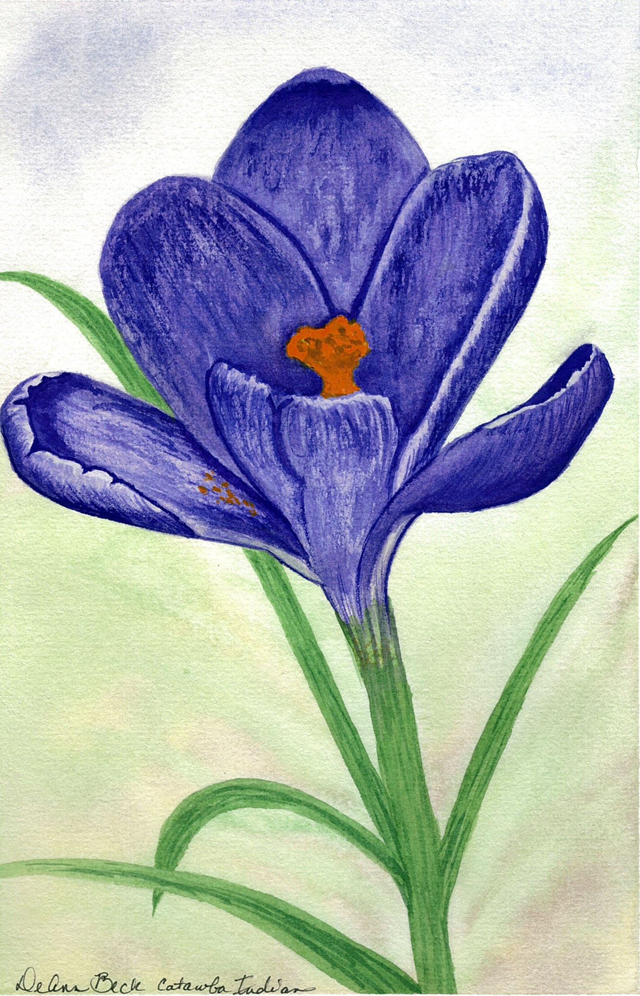 Small Watercolor Paintings by DeAnn Beck – Catawba Cultural ...