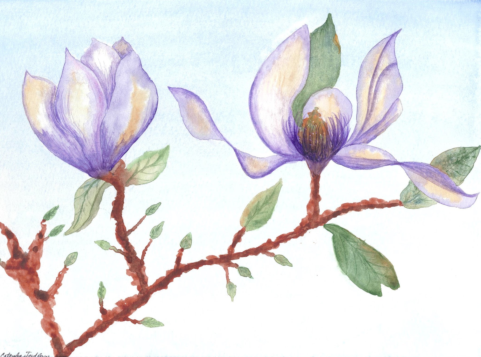 Medium Watercolor Paintings by DeAnn Beck – Catawba Cultural ...