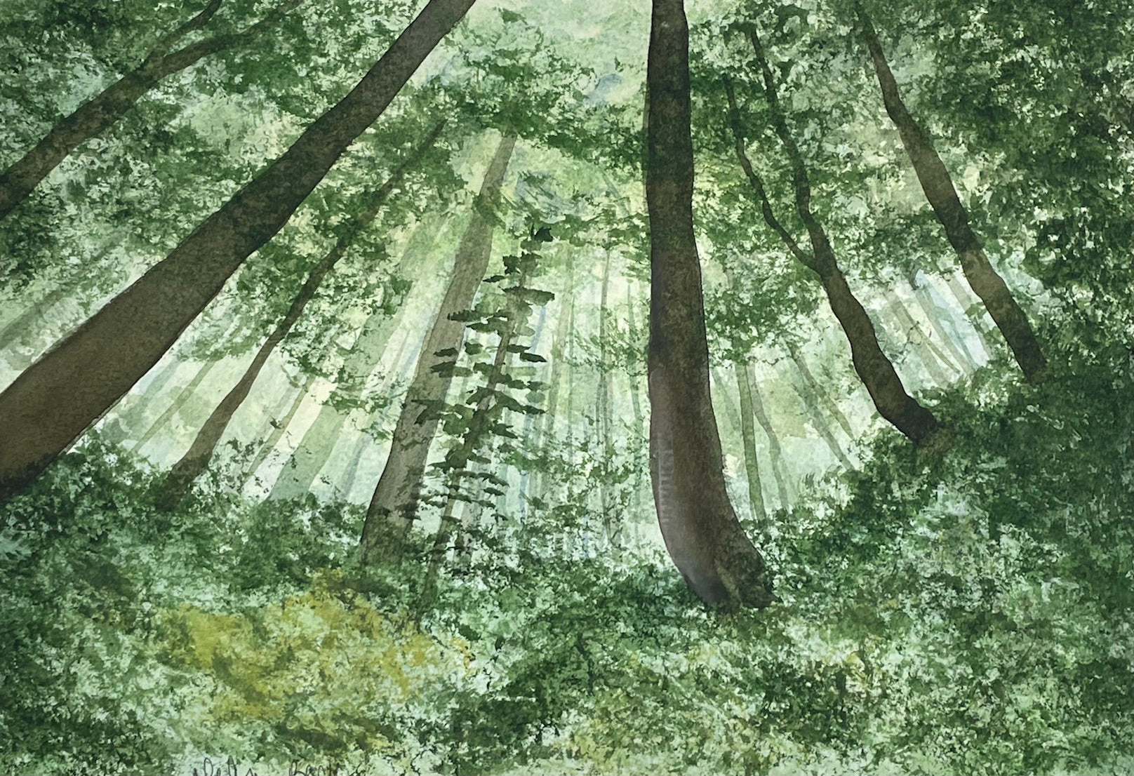 Medium Watercolor Paintings by DeAnn Beck – Catawba Cultural ...