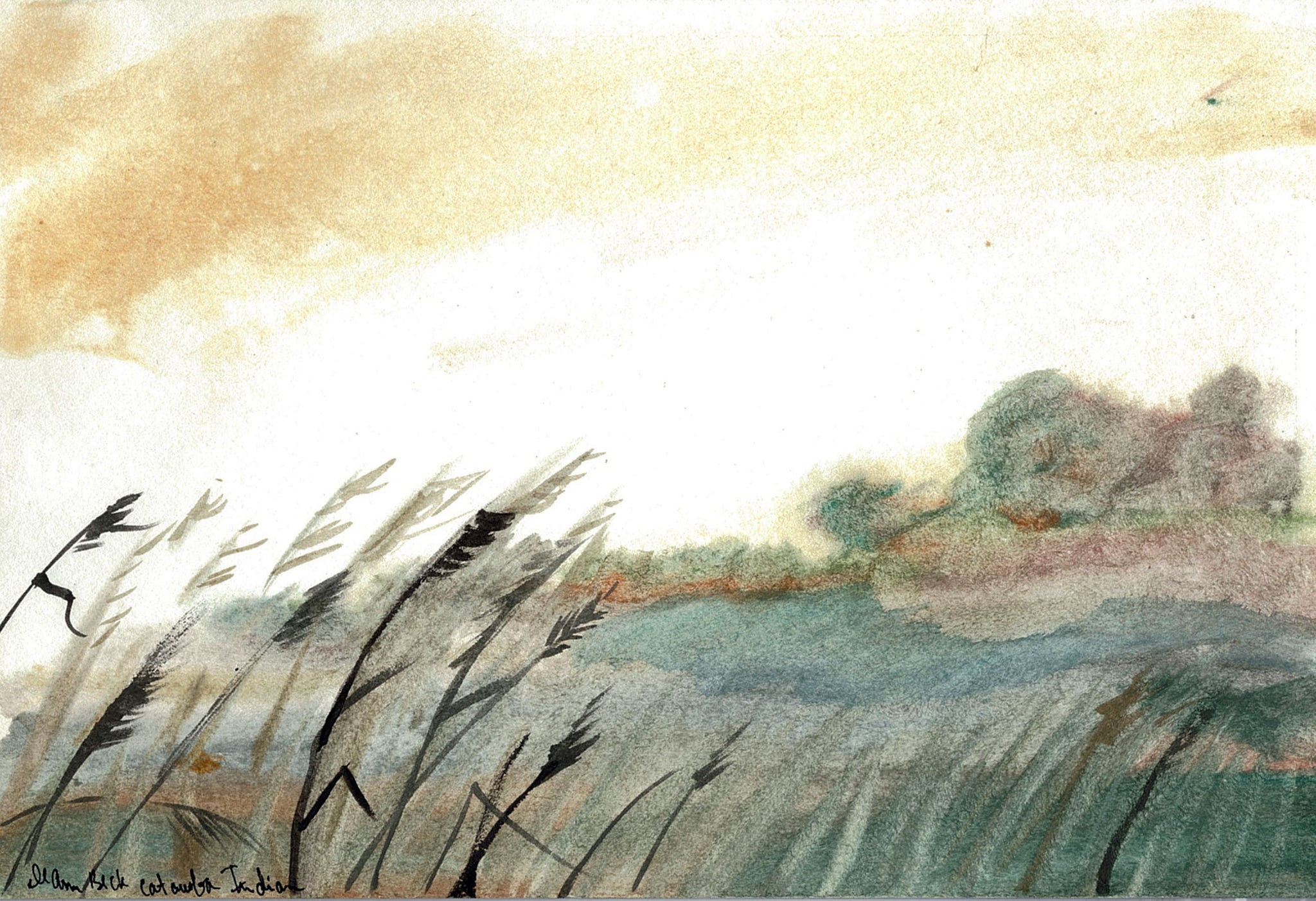 Small Watercolor Paintings by DeAnn Beck – Catawba Cultural ...