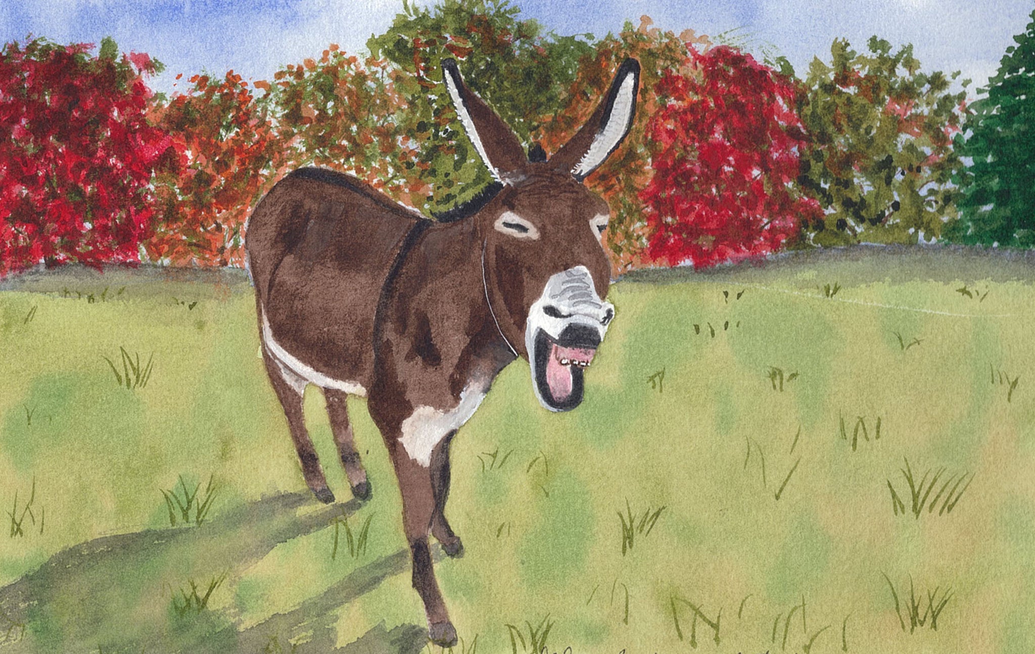 Small Watercolor Paintings by DeAnn Beck – Catawba Cultural ...