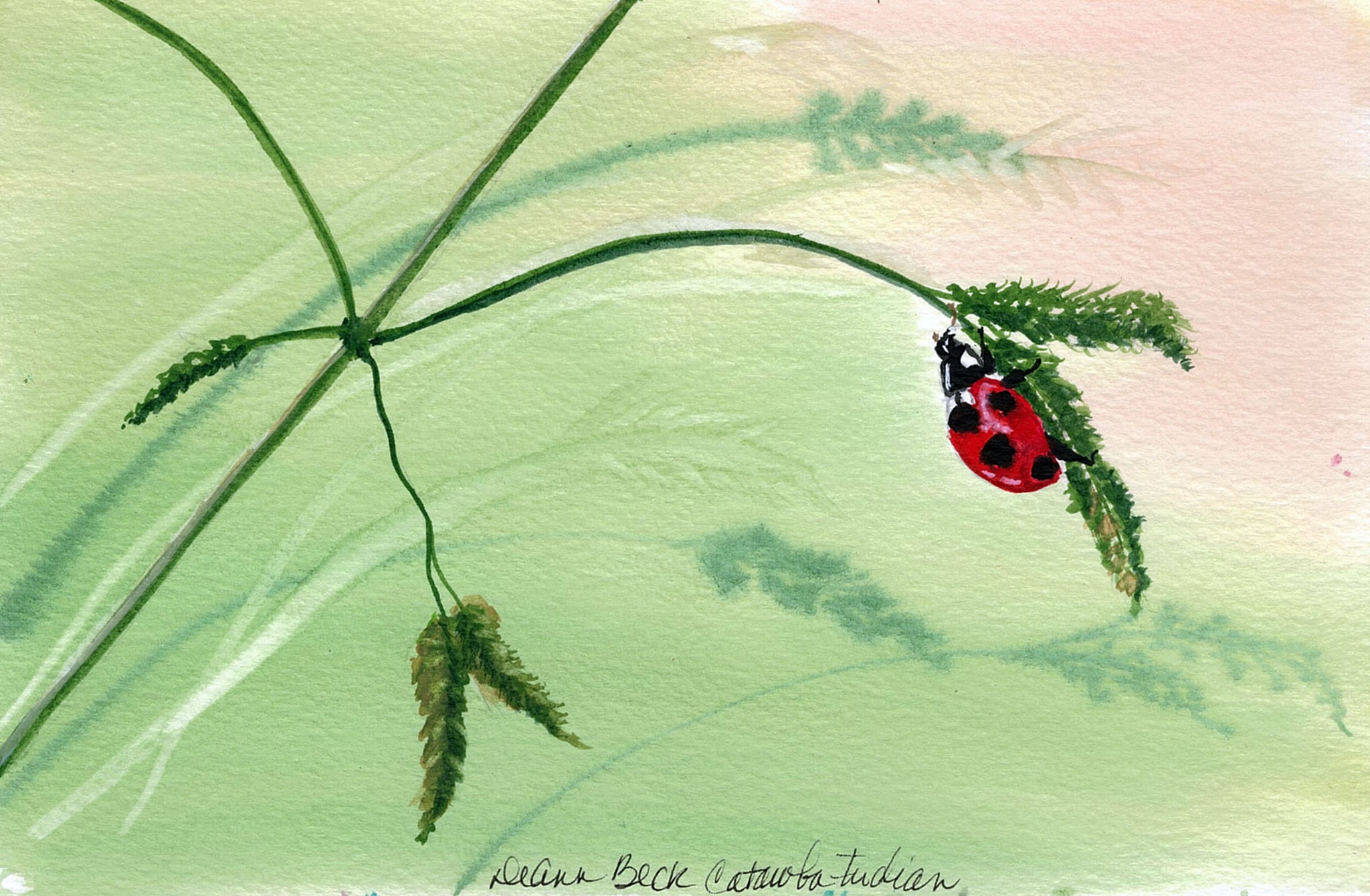 Small Watercolor Paintings by DeAnn Beck – Catawba Cultural ...