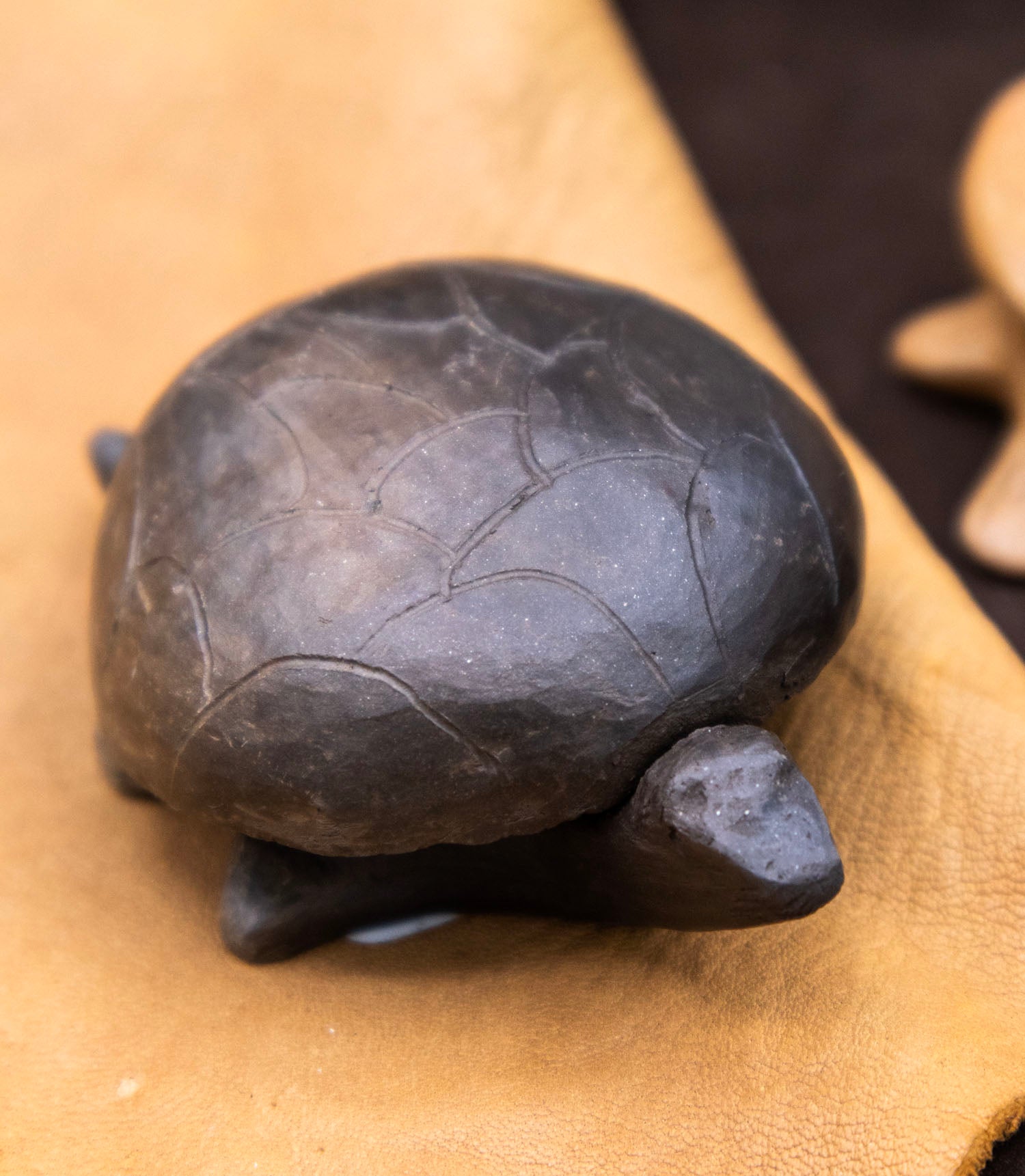 Turtles by Joanne Bauer – Catawba Cultural Preservation Project