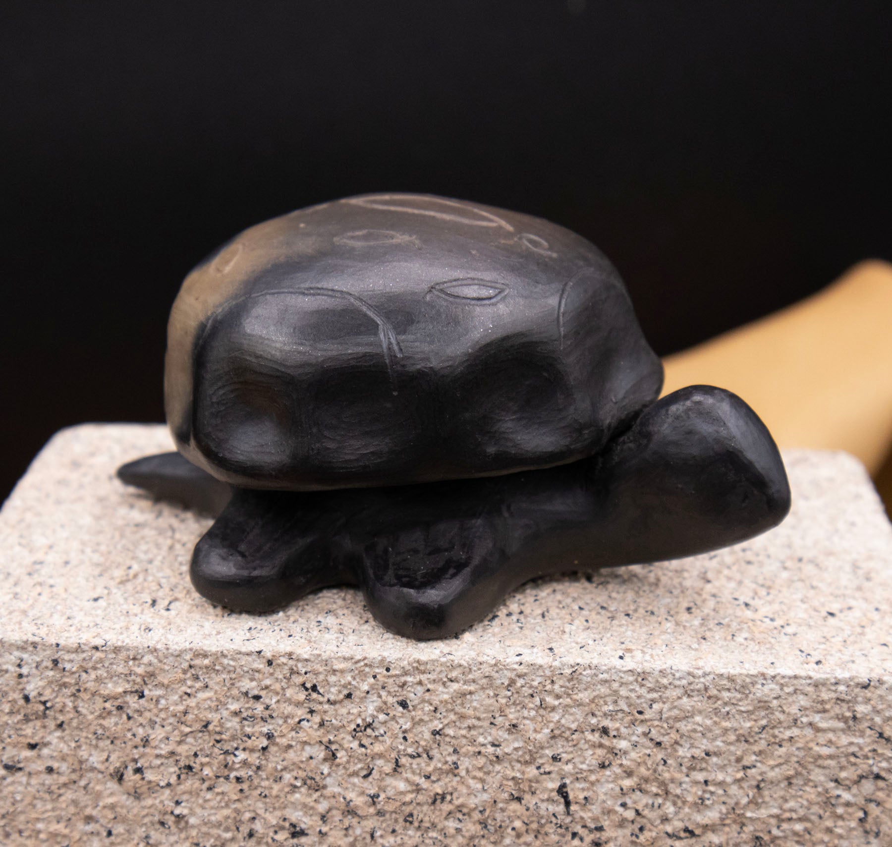 Turtles by Joanne Bauer – Catawba Cultural Preservation Project
