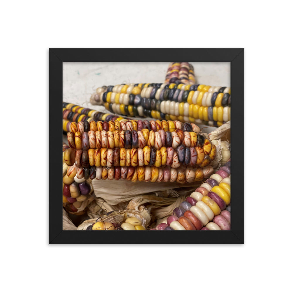 Catawba Corn Framed poster – Catawba Cultural Preservation Project